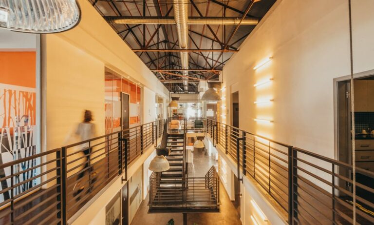 Steamroller Studios sets up in Vivéa - OFICEA